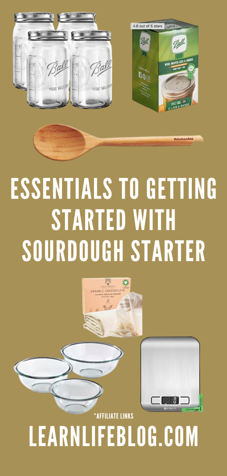 How To Reactivate a Dried Sourdough Starter - The Learning Life