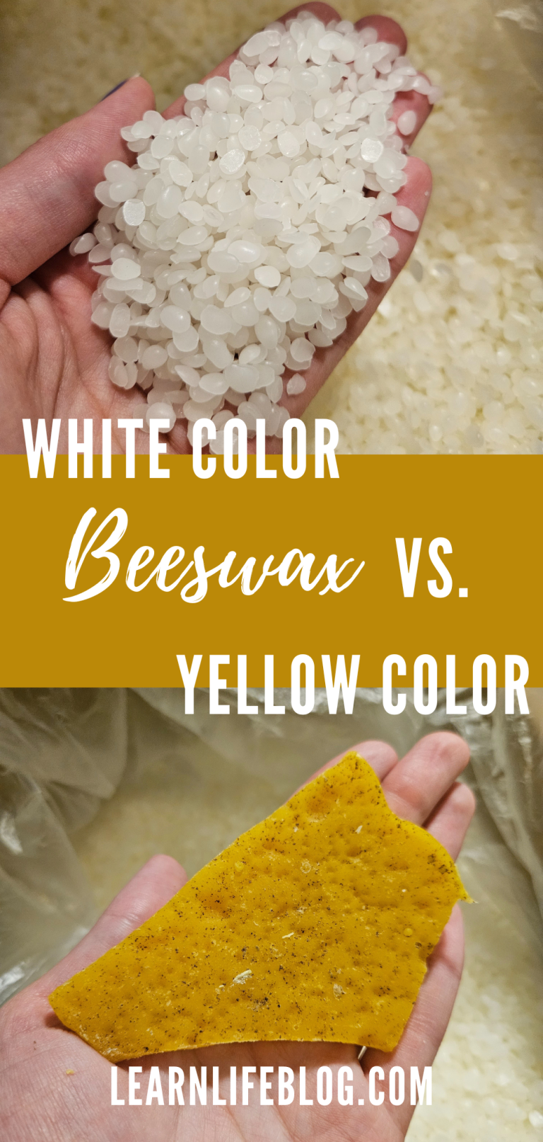 Difference in Beeswax? What You Need to Know - The Learning Life