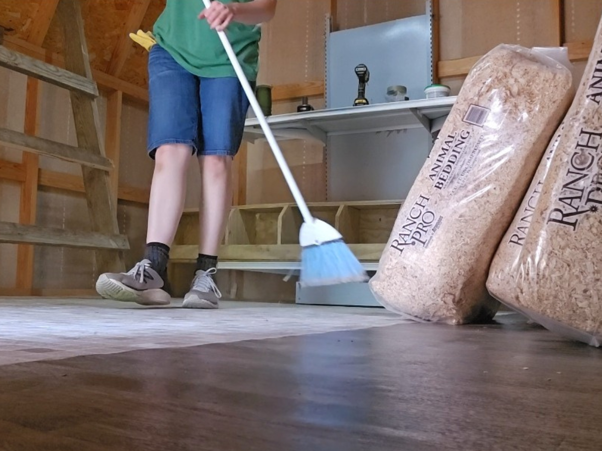 How We Turned a Wood/Storage Shed into a Chicken Coop - The Learning Life